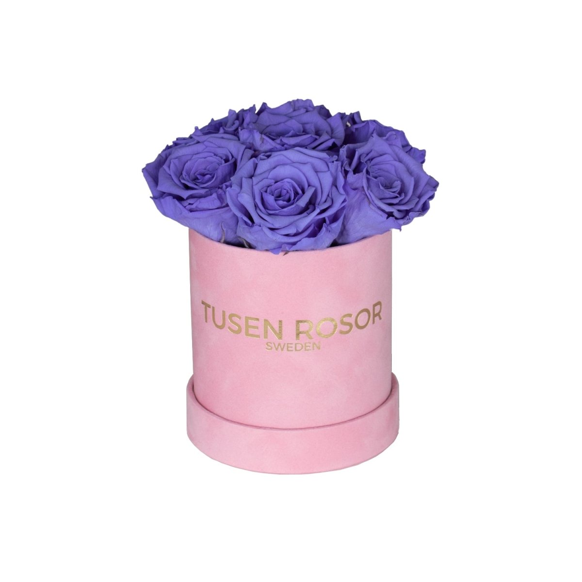 Eternal Roses | Long Lasting Purple Roses | 6-7 Roses | Tusen rosor ...