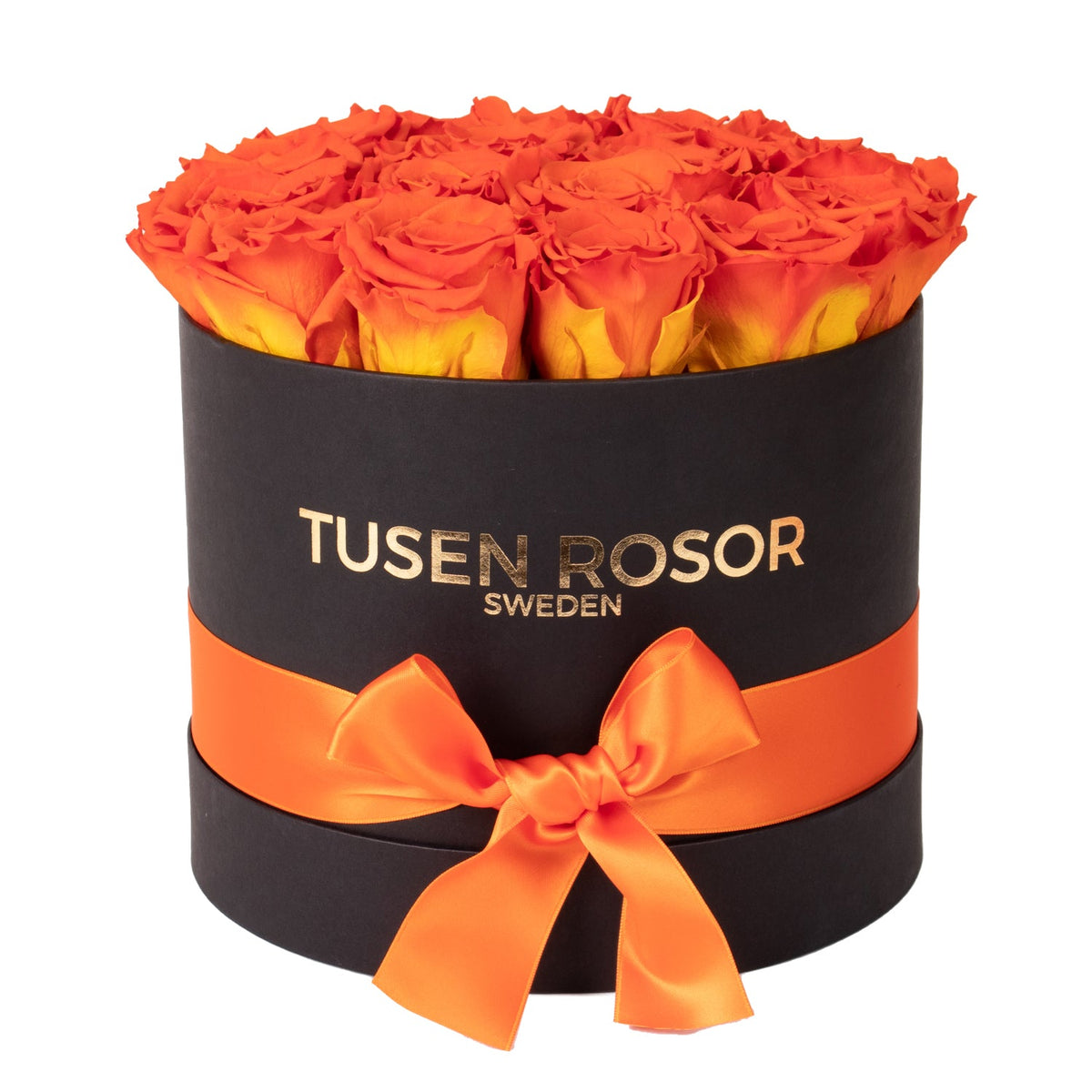Eternal Roses | Long Lasting Orange Roses | 17-20 Roses | Tusen rosor ...
