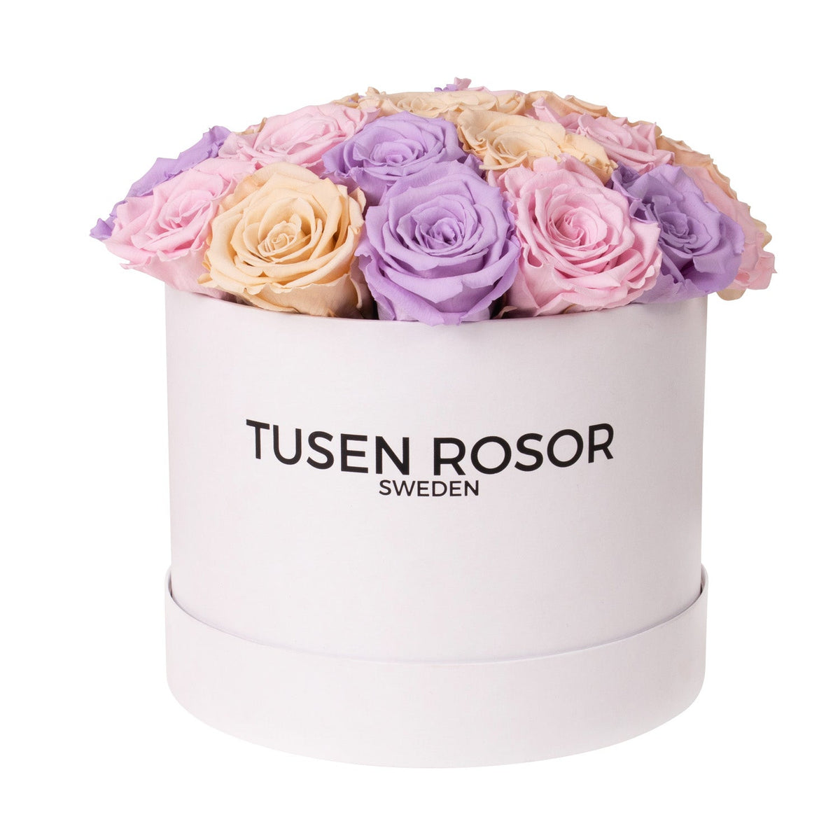 Eternal Roses | Long Lasting Pastel Roses | 20-23 Roses | Tusen rosor ...