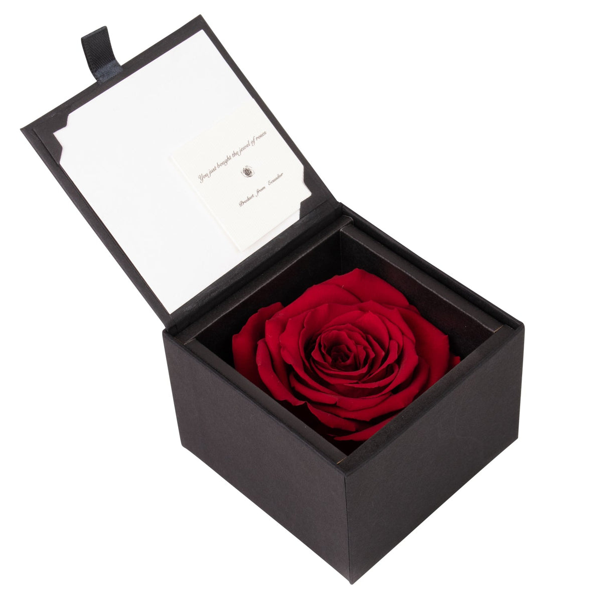 Red eternal rose in box - Long-lasting roses – Tusen rosor