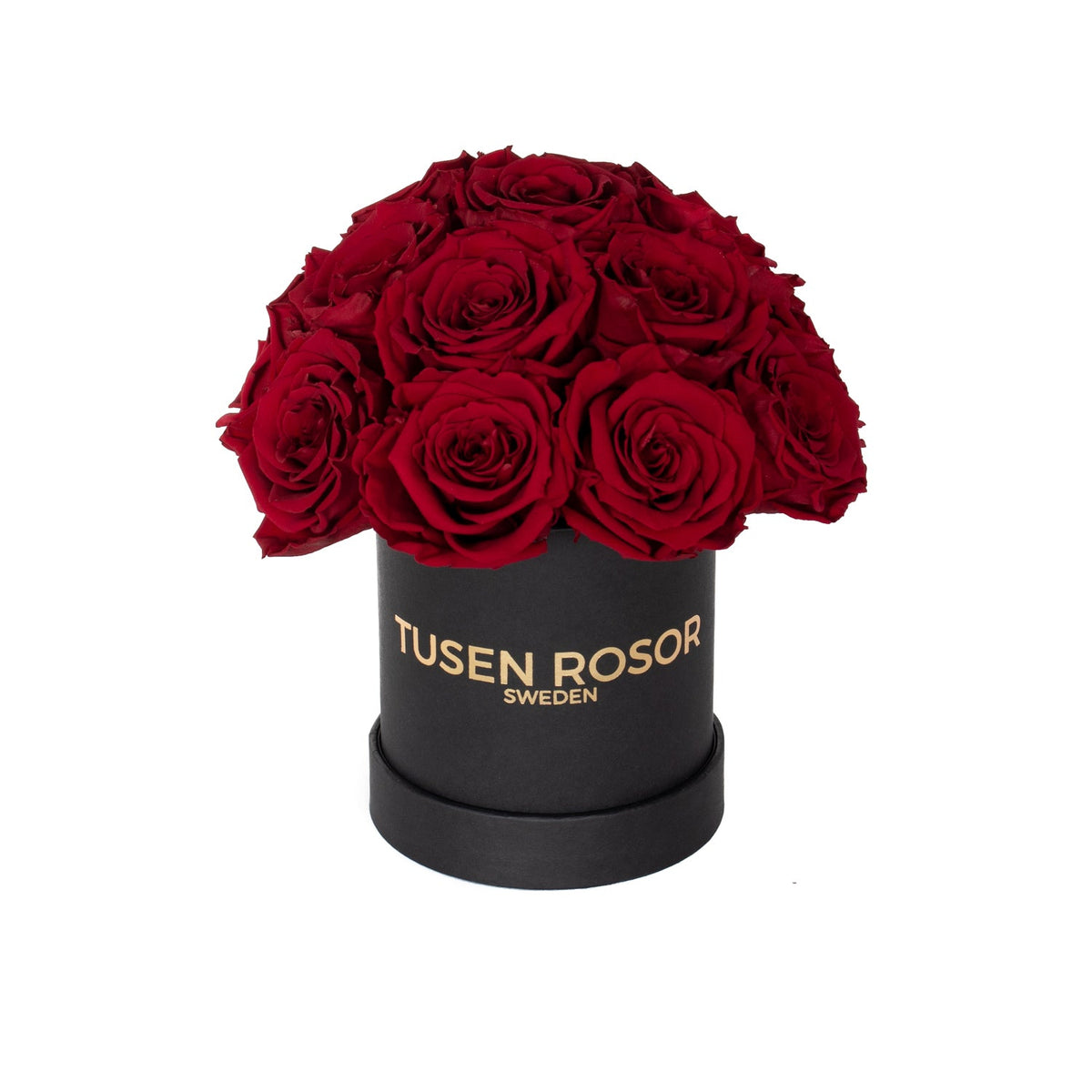 Eternal Roses | Long Lasting Red Roses | 14-18 Roses | Tusen rosor ...